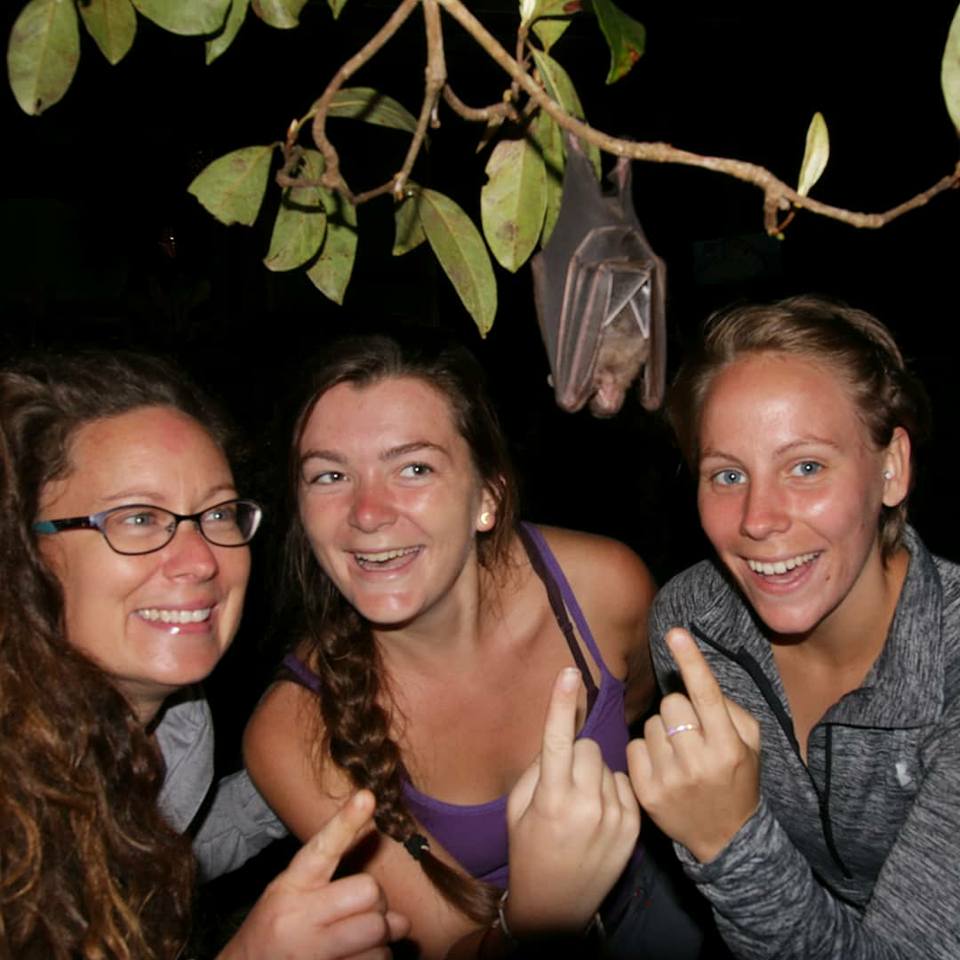 Bats of Belize! | Toucan Ridge Ecology and Education Society (T.R.E.E.S)